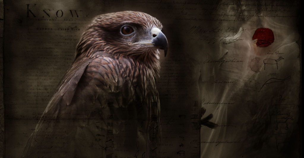 Nighthawk Technologies – Hangar 13